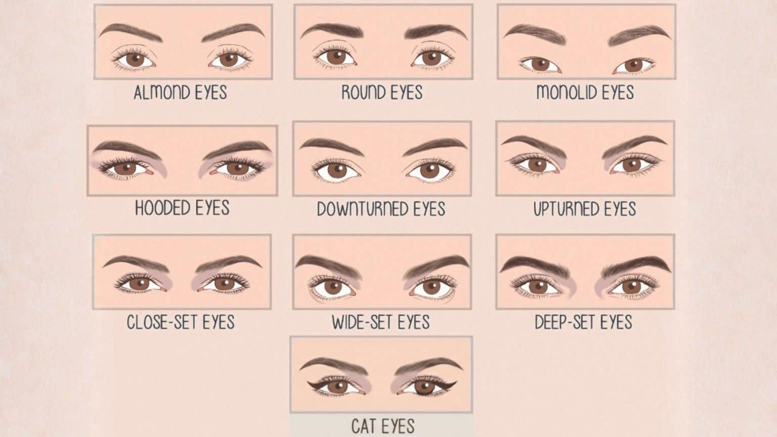 Eye Shape Names and Their Features - Obviousmag