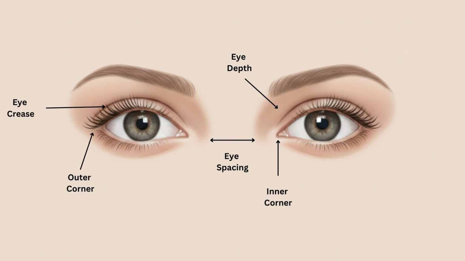 Eye Shape Names and Their Features - Obviousmag